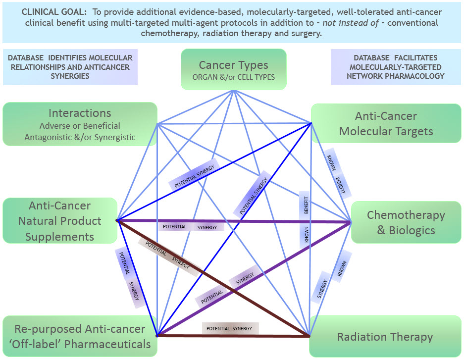 Cancer Wellness Plan® MD treatment plan | LaValley MD Protocols